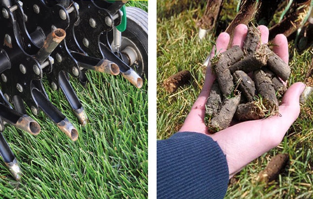 Revitalize Your Lawn: The Science behind Aeration & Seeding