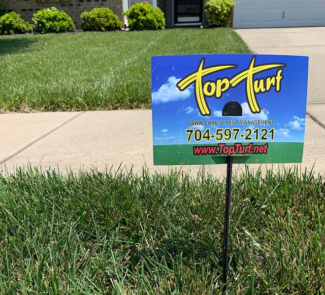 #1 Expert Weed Control Local Lawn Care