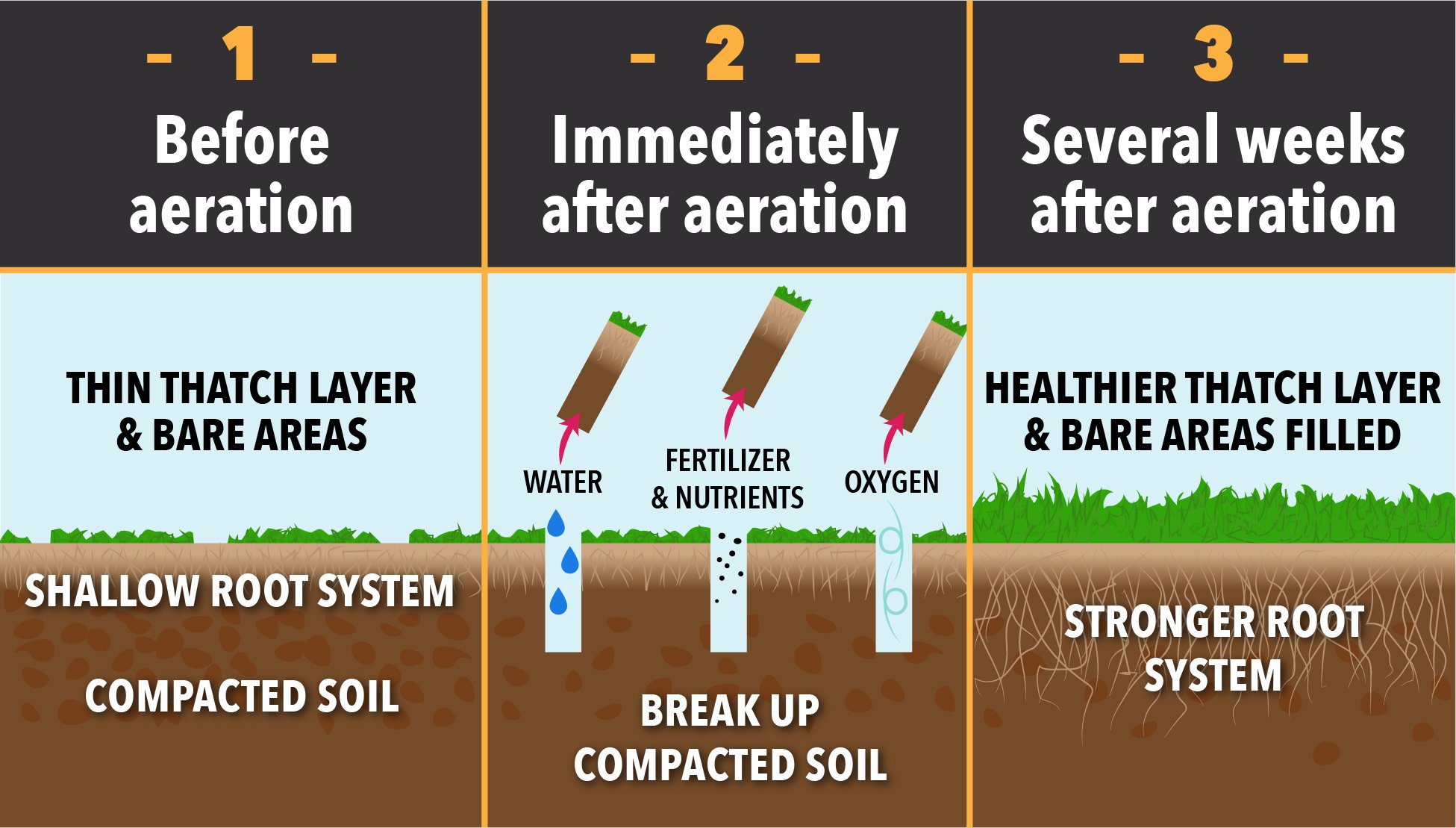Core Aerating Your Bermuda Lawn: The Benefits and Necessities