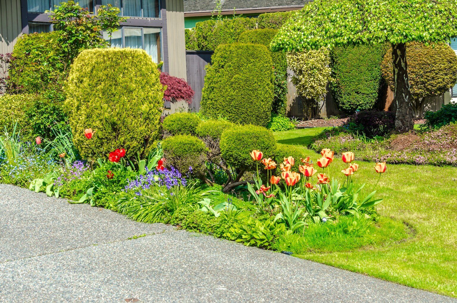 Top Turf | Specialty Services | Top Turf