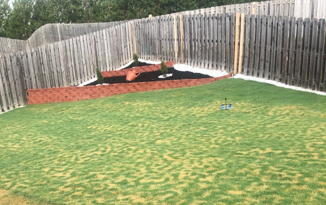 Understanding Lawn Dormancy: What It Is And How To Manage It