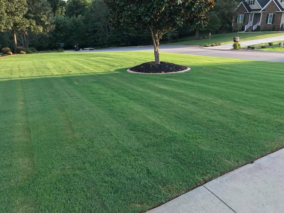Core Aerating Your Bermuda Lawn: The Benefits and Necessities