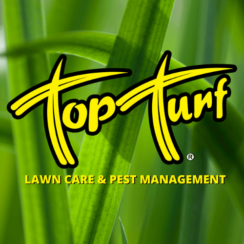 About Top Turf - Our Story | Top Turf