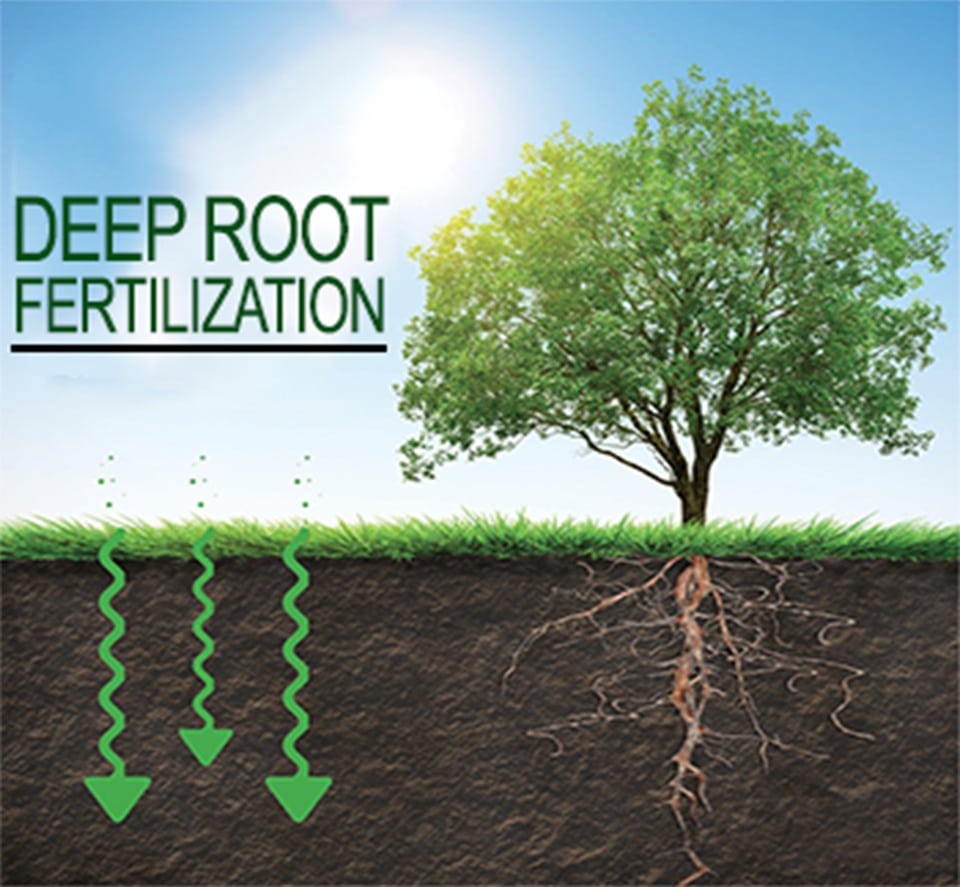 #1 Healthy Tree and Shrub Care | Top Turf