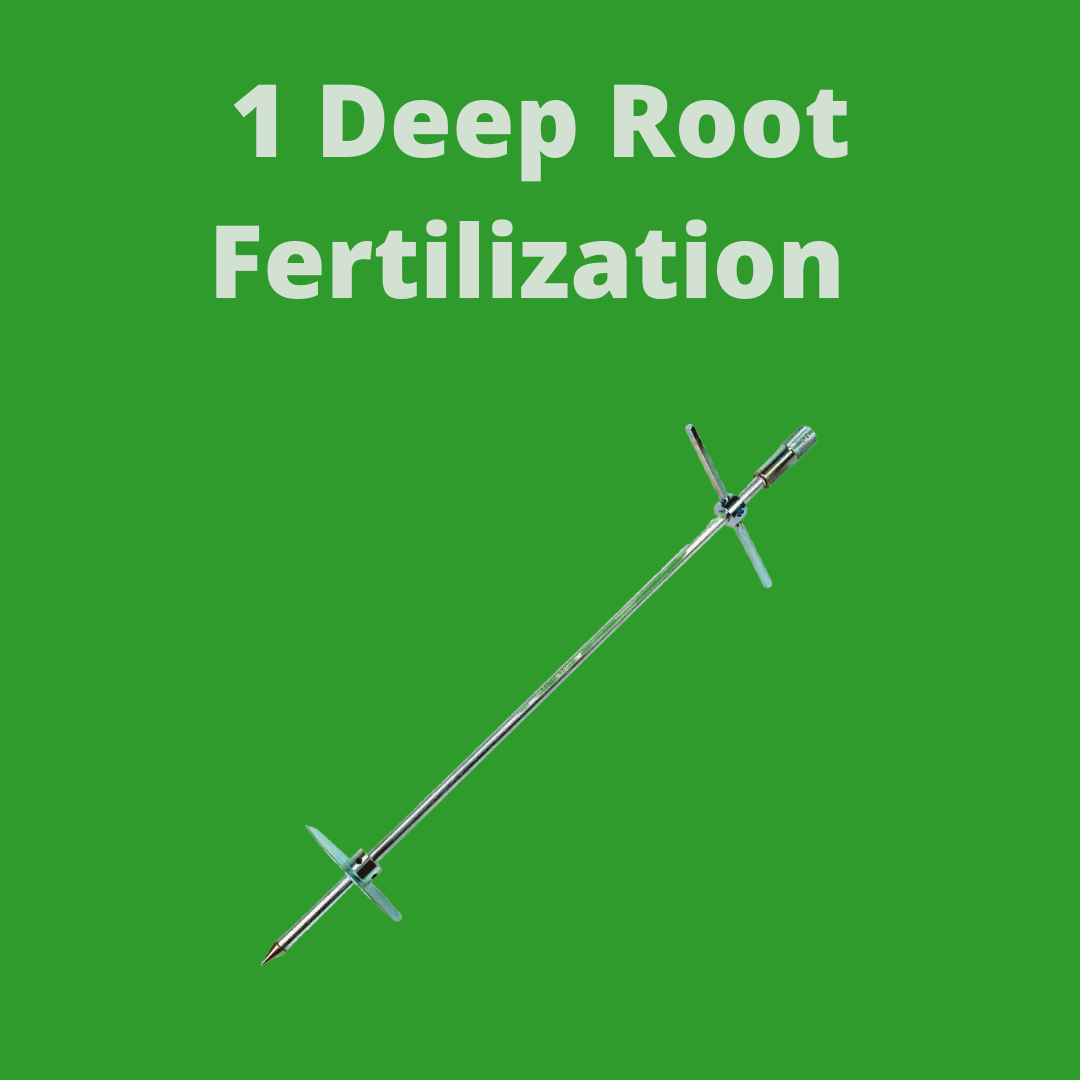 #1 Healthy Tree and Shrub Care | Top Turf